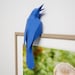 DIY Bird for a Frame, Papercraft Bird, Animal Paper Craft, Easy Simple ...