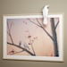 DIY Bird for a Frame, Papercraft Bird, Animal Paper Craft, Easy Simple ...