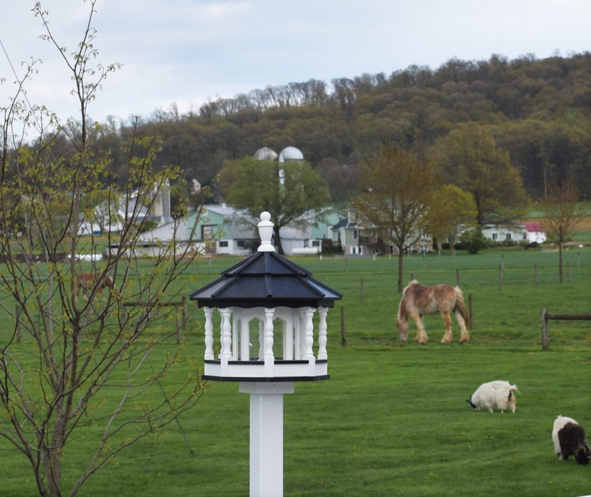 EXTRA LARGE Poly Spindle Bird Feeder | 10 Qt Capacity | Amish Handmade ...
