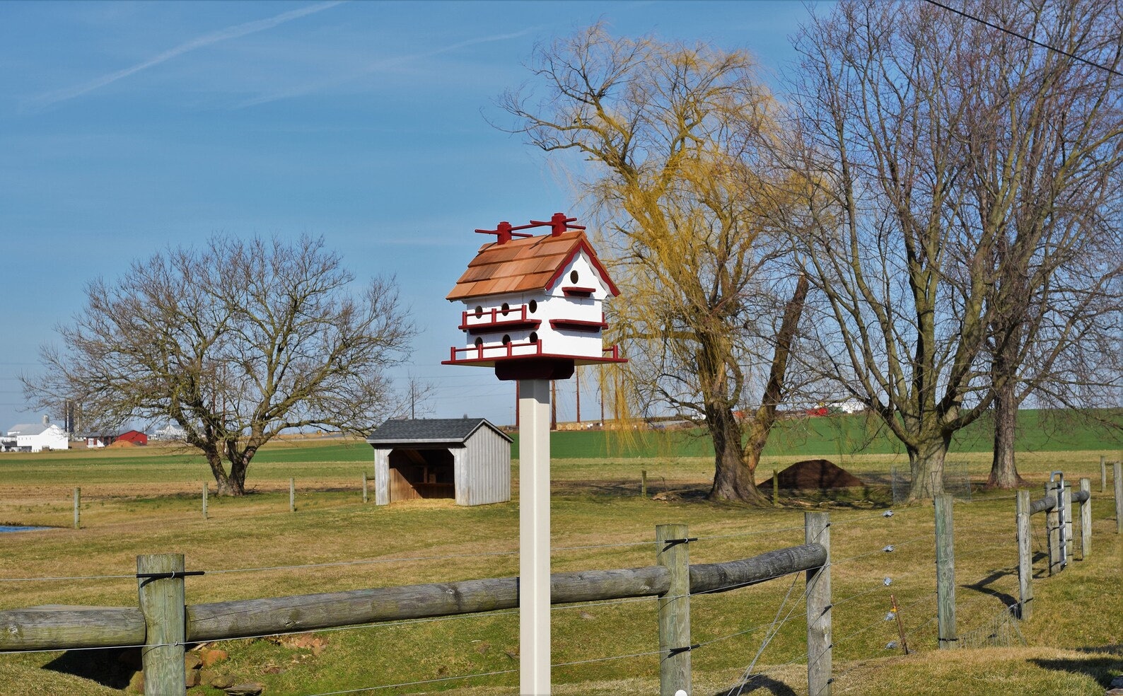 EXTRA LARGE Martin Bird House | Handmade Bird House | Multiple Colors ...