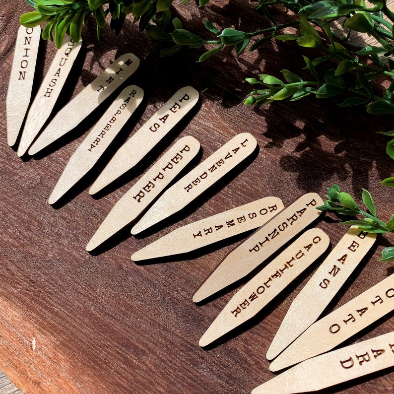 50 Garden Markers Bundle | SVG File Plant ID Tags | Vector Vegetables ...