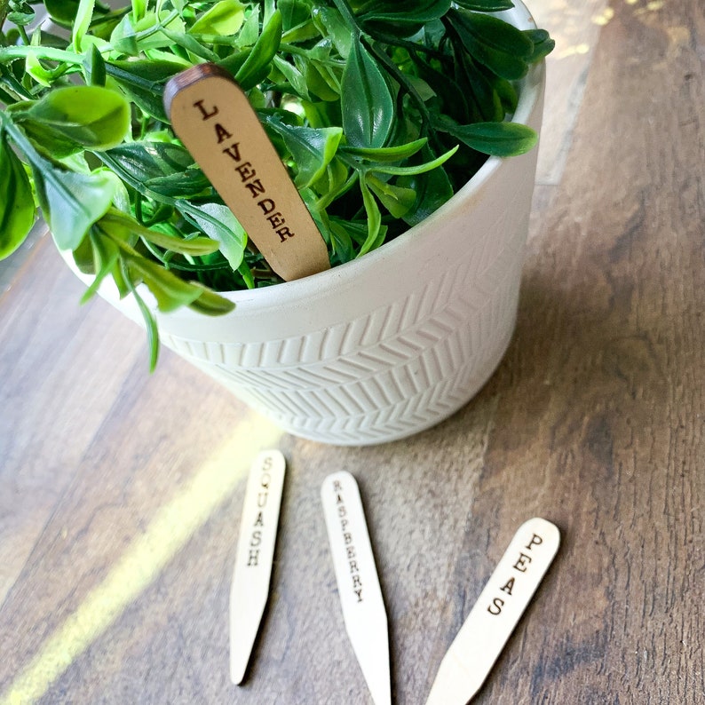 50 Garden Markers Bundle | SVG File Plant ID Tags | Vector Vegetables ...