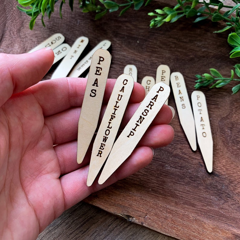 50 Garden Markers Bundle | SVG File Plant ID Tags | Vector Vegetables ...