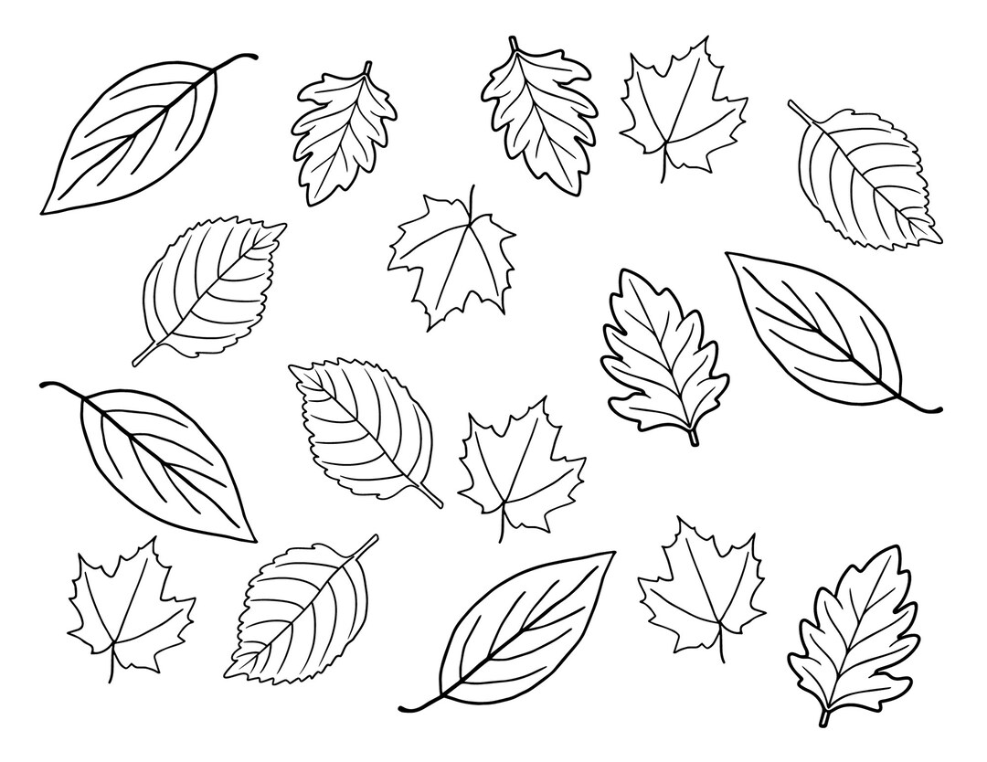 Fall Activity Packet - Etsy