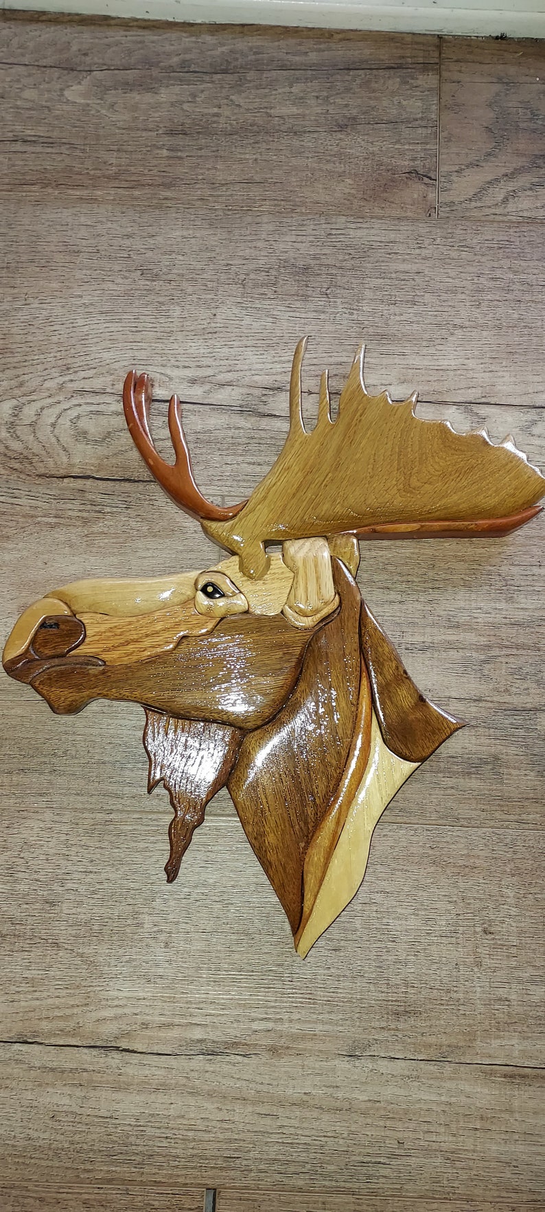 Moose Bust. Intarsia, Mosaic in Wood. - Etsy