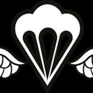 US Navy PR Aircrew Survival Equipmentman Rating Insignia Files - Etsy