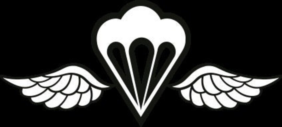 US Navy PR Aircrew Survival Equipmentman Rating Insignia Files - Etsy