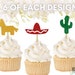 18 PCS Fiesta Cupcake Toppers, Tex Mex Food Picks, Fiesta Party ...