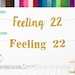 Feeling 22 Banner, 22nd Birthday Banner, 22nd Birthday Party ...