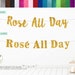 Rosé All Day Banner, Glitter Rose All Day Sign, Bubbly Bar Banner ...