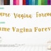 Same Vagina Forever Banner, Lesbian Bachelorette Party Banner, Gay Bachelorette Party ...