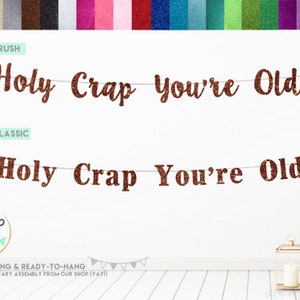 Holy Crap You're Old Banner, Funny Birthday Banner, Holy Shit You're ...