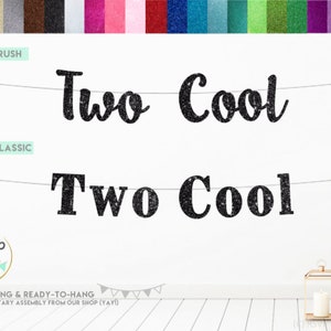 Two Cool Banner, Glitter Two Cool Sign, Second Birthday Banner, 2nd ...