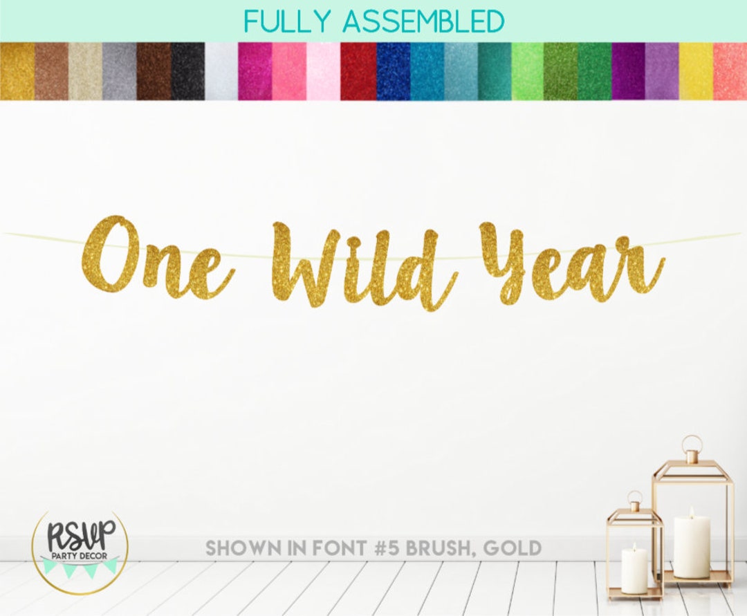 One Wild Year Banner, First Birthday Banner, Wild One Party Decor ...