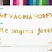 Same Vagina Forever Banner, Lesbian Bachelorette Party Banner, Gay Bachelorette Party ...