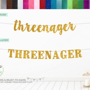 Threenager Banner, Third Birthday Party Decorations, 3rd Birthday ...