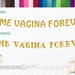 Same Vagina Forever Banner, Lesbian Bachelorette Party Banner, Gay Bachelorette Party ...