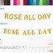 Rosé All Day Banner, Glitter Rose All Day Sign, Bubbly Bar Banner ...