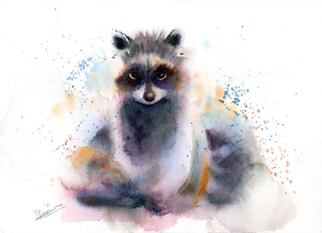 Raccoon Artwork Original Watercolor Painting Wild Animal - Etsy