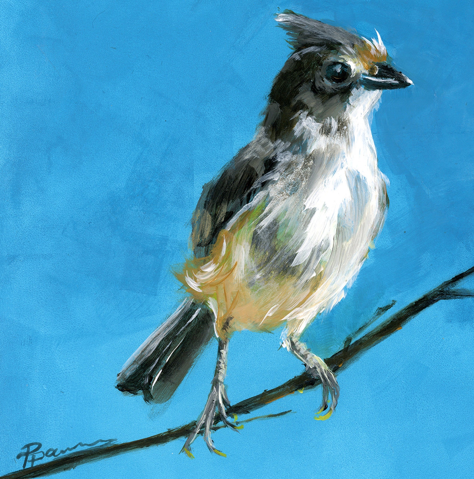 Tufted Titmouse Painting: Original Acrylic Bird Art on Gesso Board - Etsy