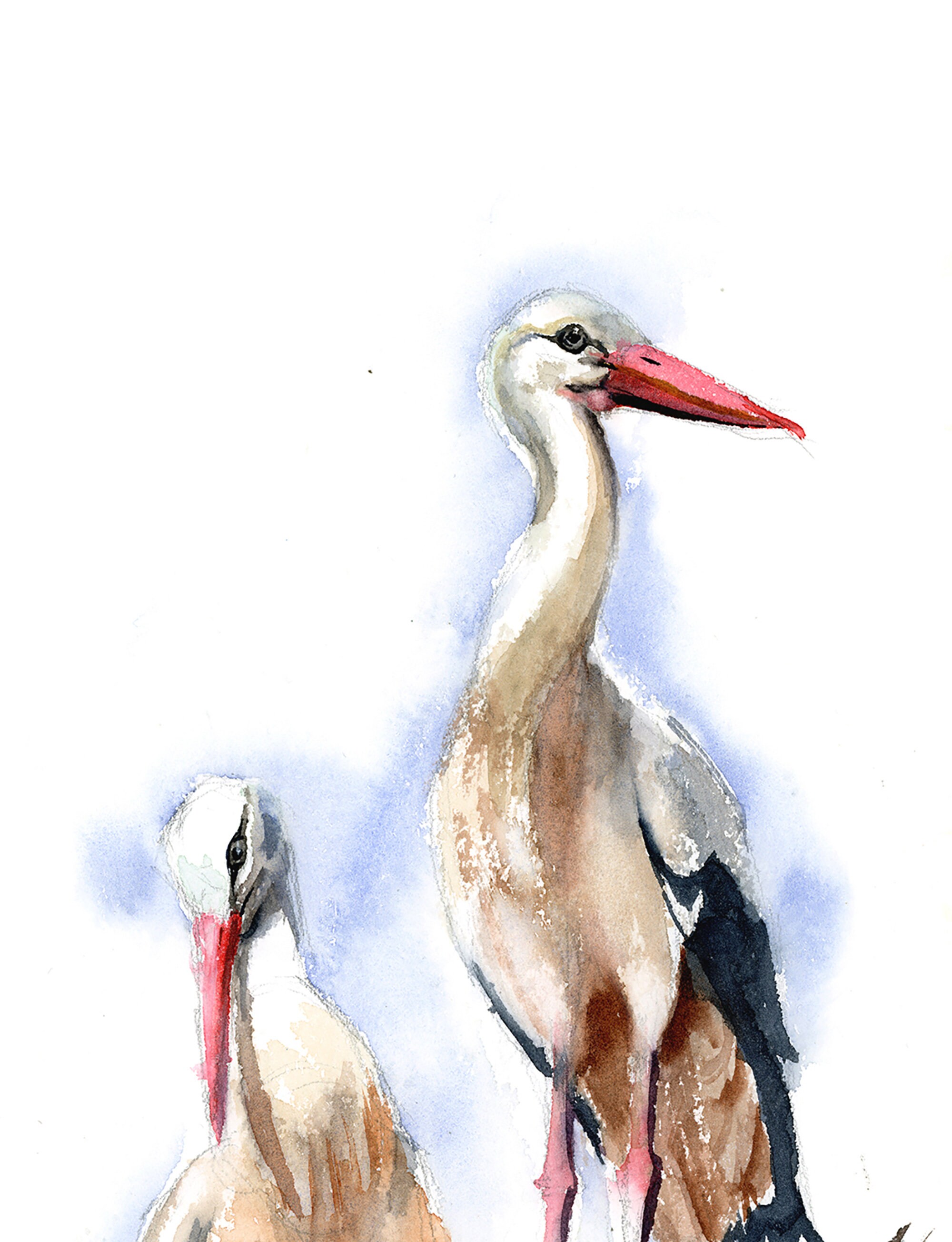 Storks Art Original Watercolor Painting Not Print, Two Birds Nest ...