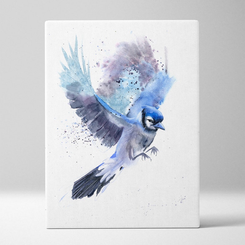 Blue Jay Wings - Etsy