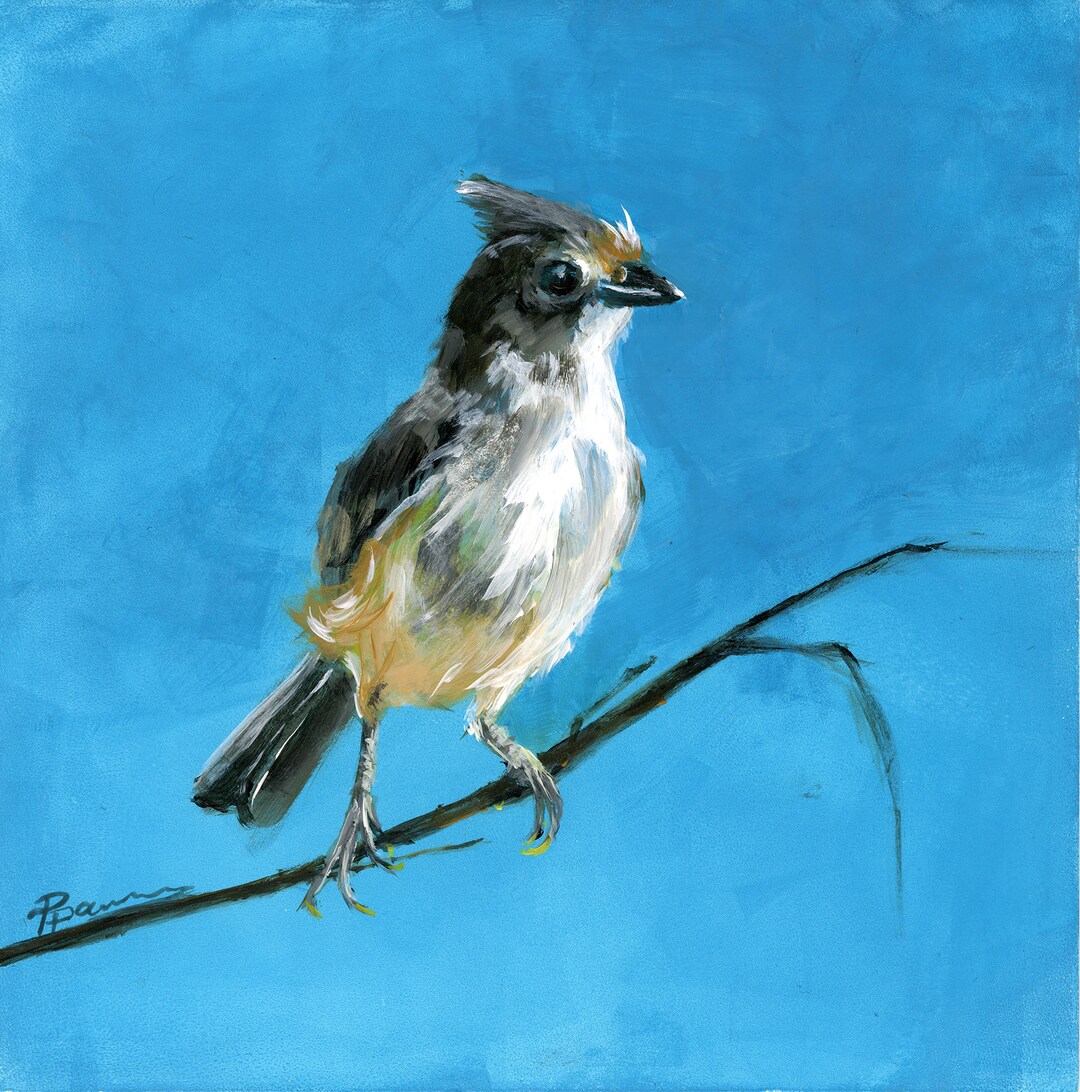 Tufted Titmouse Painting: Original Acrylic Bird Art on Gesso Board - Etsy