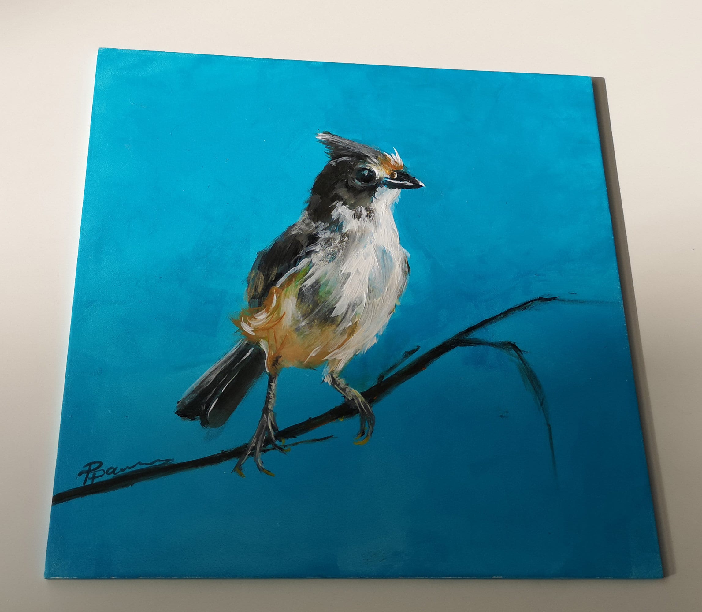 Tufted Titmouse Painting, Original Acrylic Bird Art on Square Gesso ...