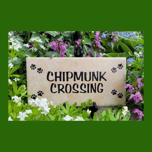 Chipmunk - Etsy