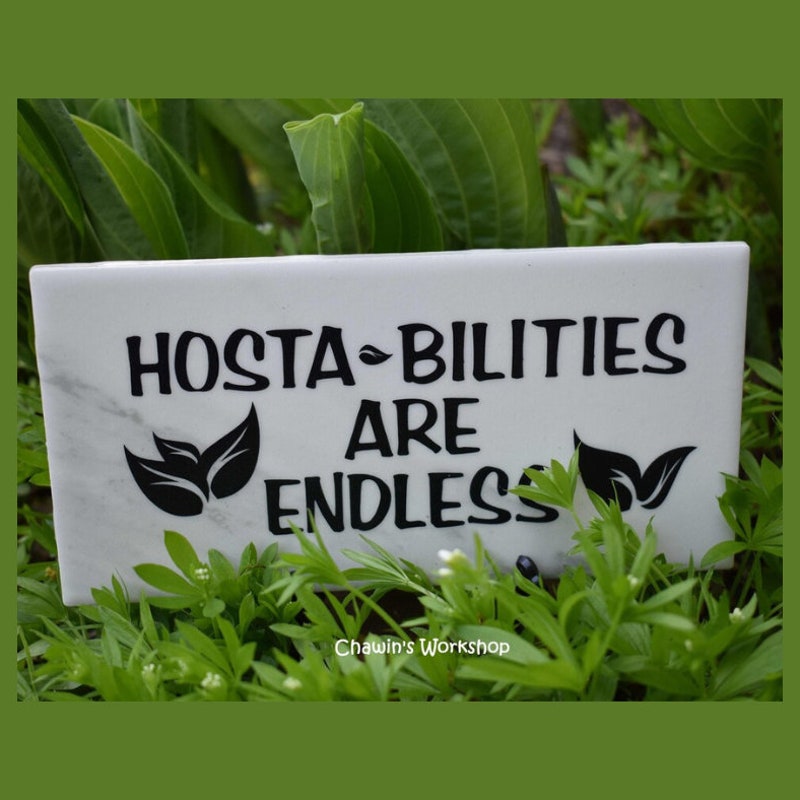 Hosta - Etsy