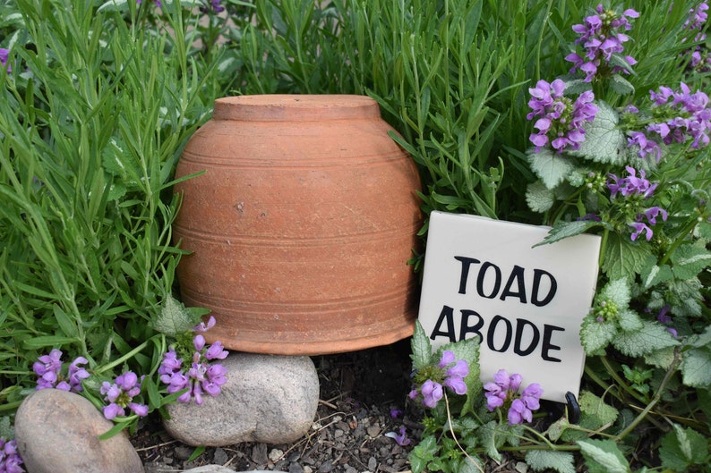 Toad Abode Funny Garden Sign Toad House Garden Sign Cute Gift | Etsy