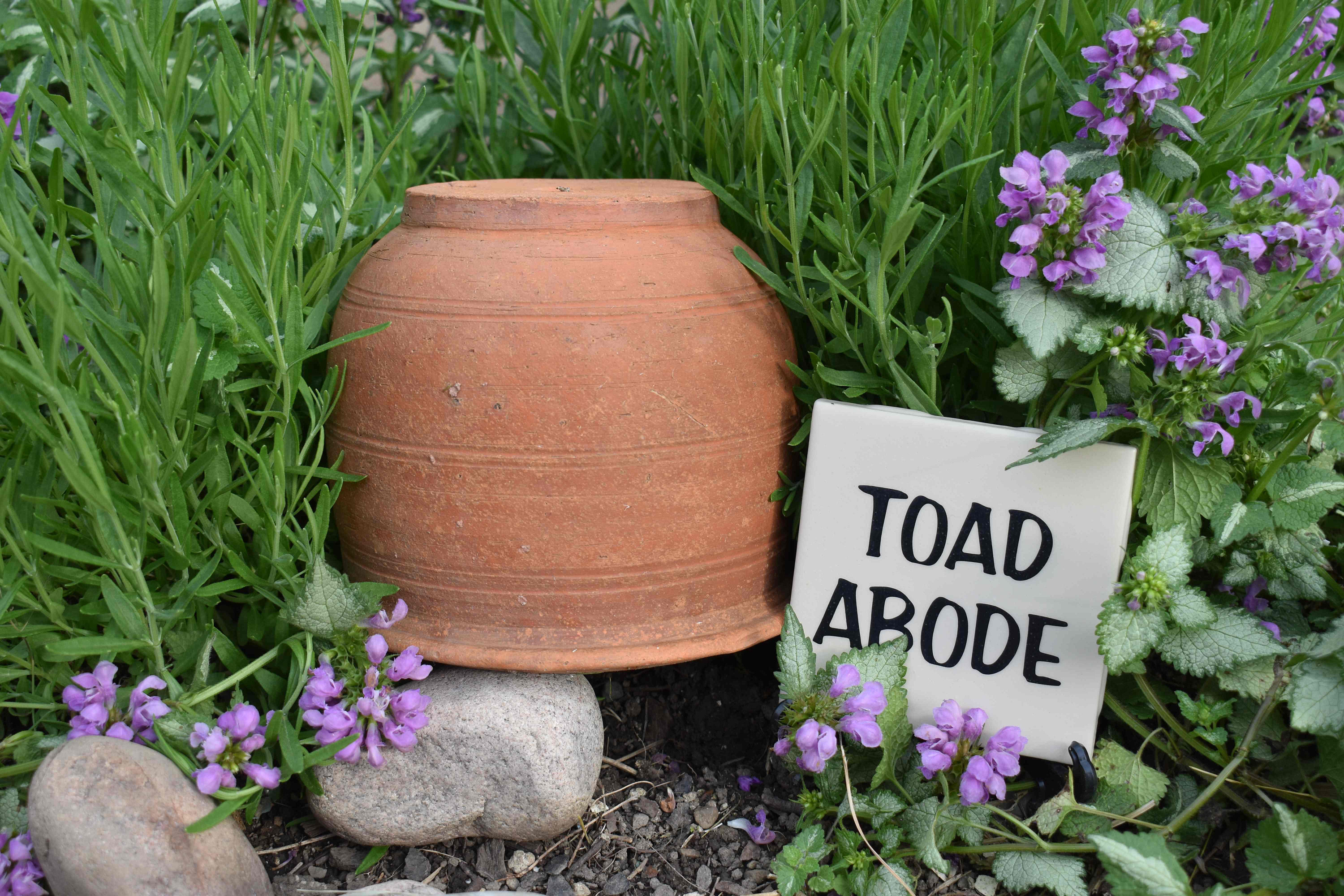 Toad Abode Funny Garden Sign Toad House Garden Sign Cute Gift | Etsy Canada