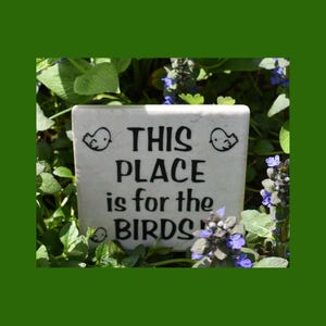This Place is for the Birds! - Funny Garden Sign, Outdoor Décor - Etsy ...