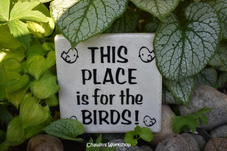 This Place is for the Birds! - Funny Garden Sign, Outdoor Décor - Etsy