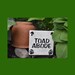 Toad Abode Funny Garden Sign Toad House Garden Sign Cute Gift for ...