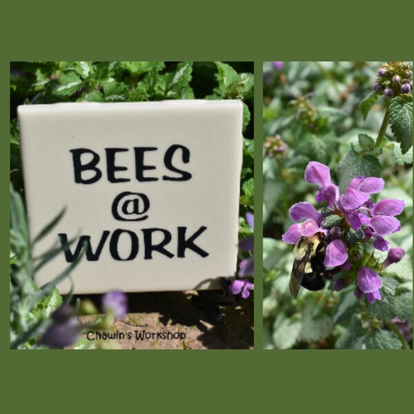Beekeeper Sign - Etsy