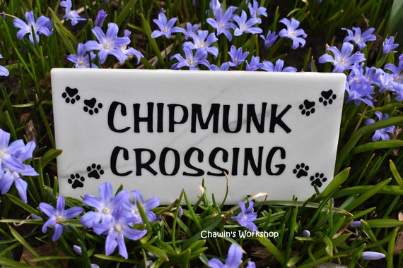 Chipmunk Crossing Funny Garden Sign Father's - Etsy