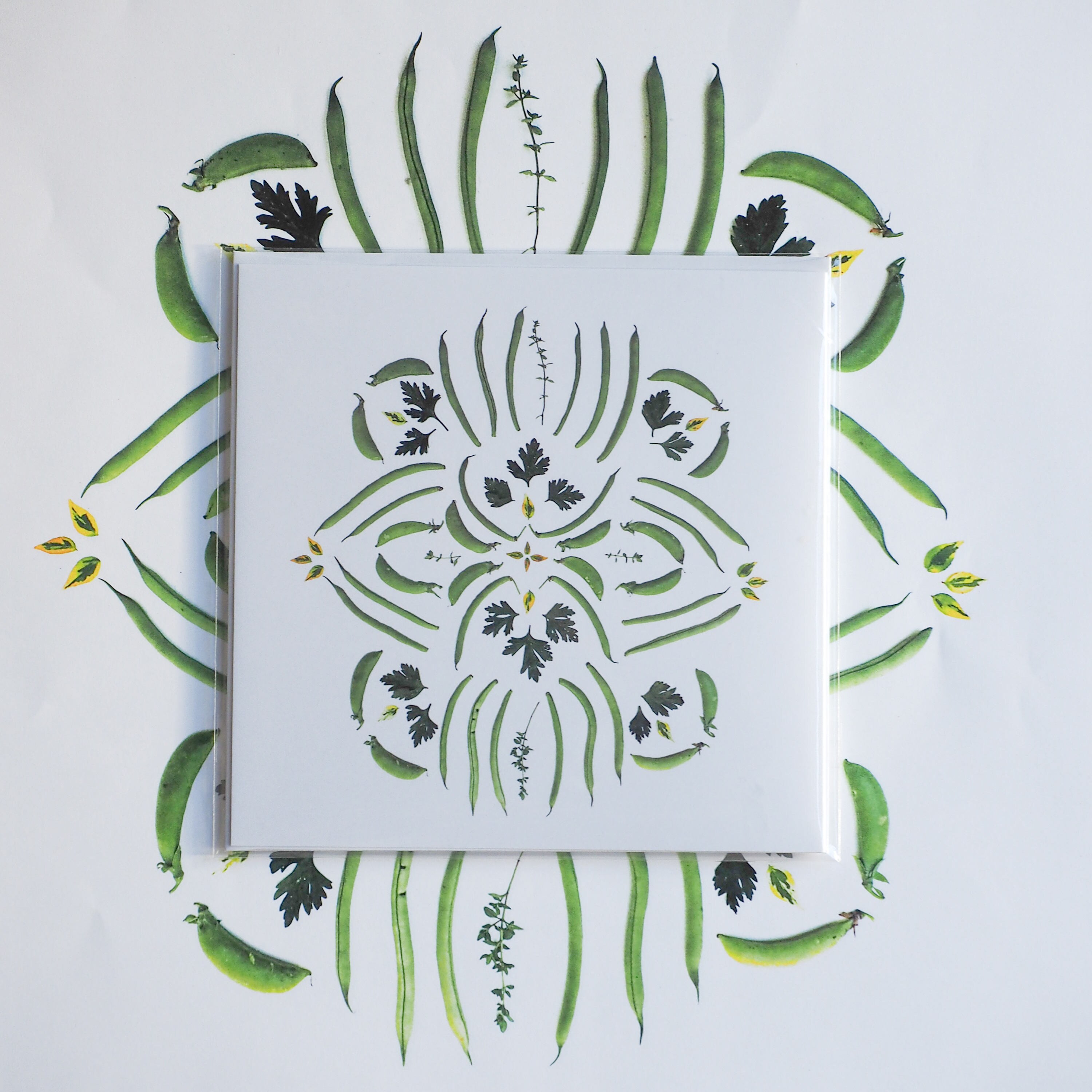 Bean Mandala // Tarjeta de felicitación - Etsy México