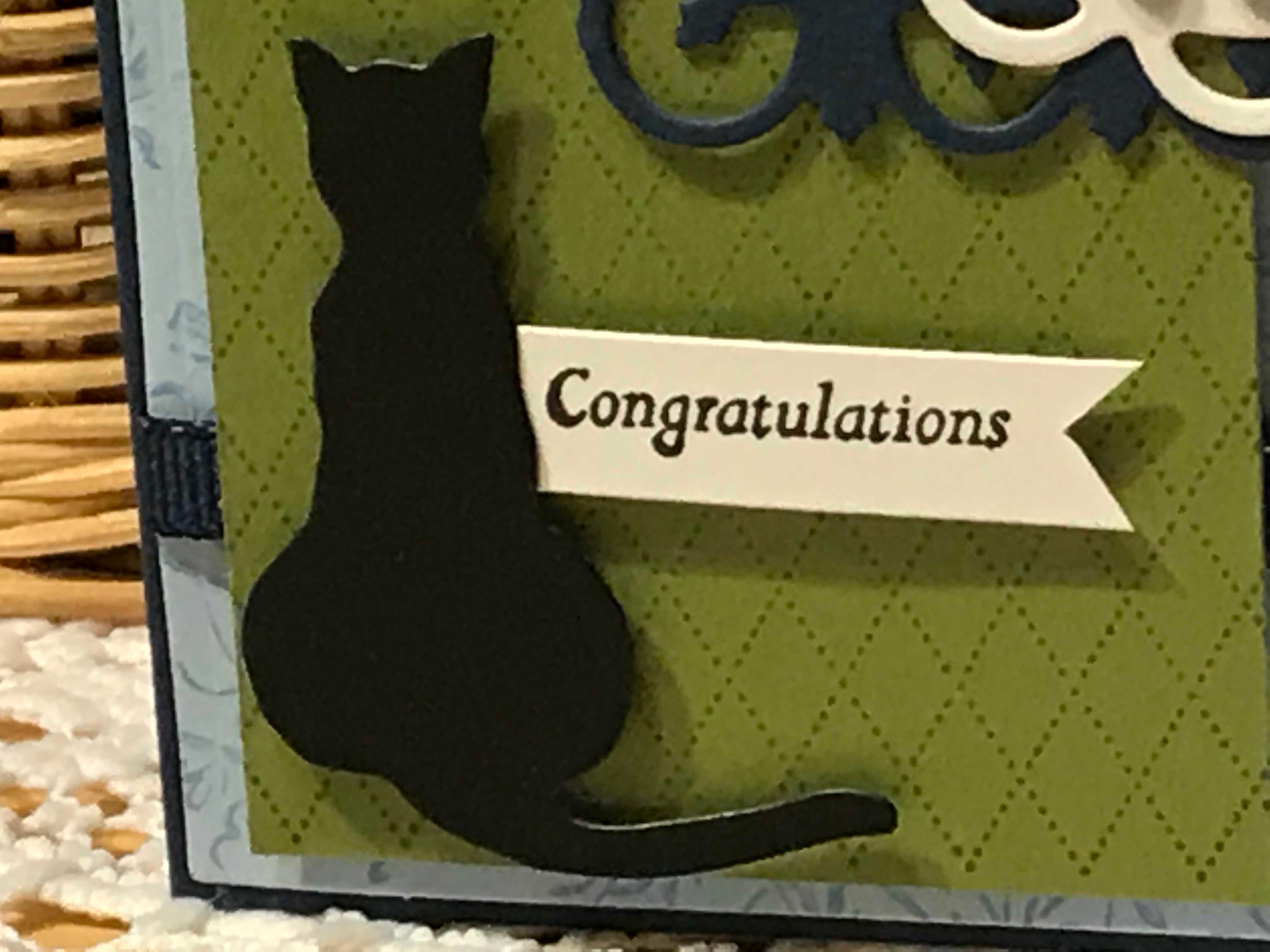 Cat Congratulations Card Pet Congratulations Card - Etsy