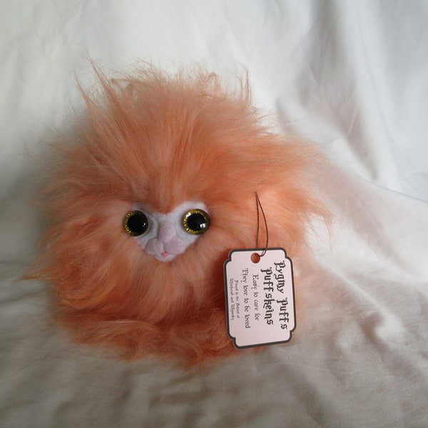 Pygmy Puff - Etsy