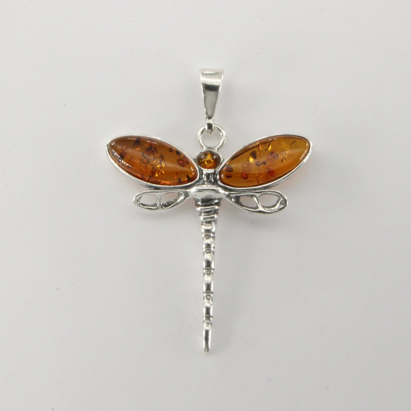 Dragonfly in Amber - Etsy
