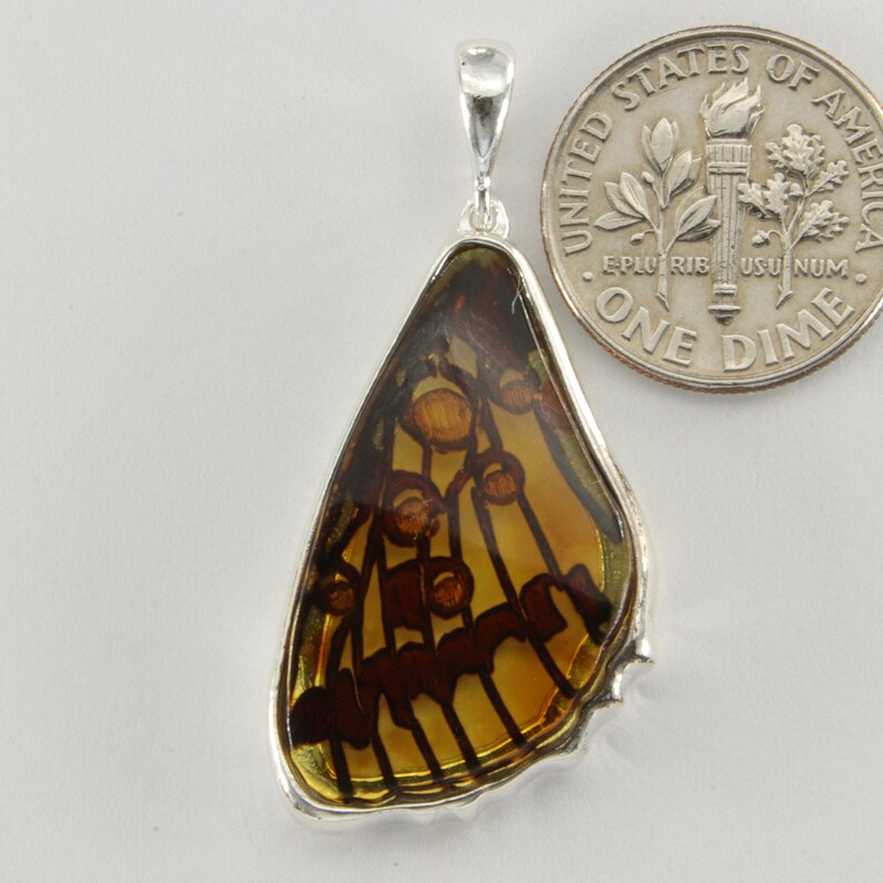 Natural and Genuine Carved BALTIC AMBER Wing Pendant in 925 Sterling ...