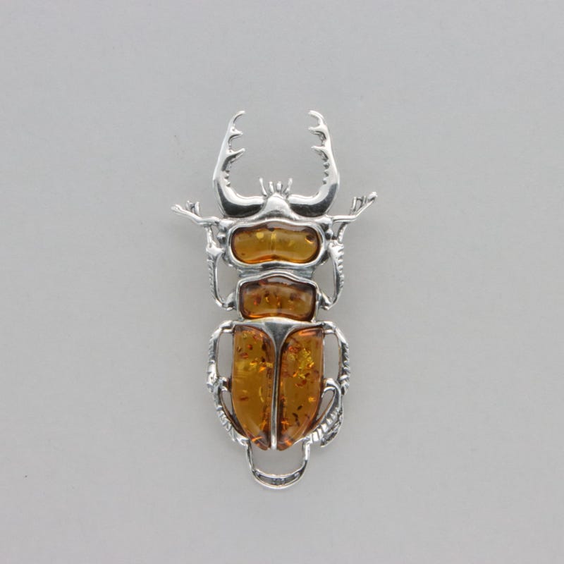 Amber With Insect - Etsy