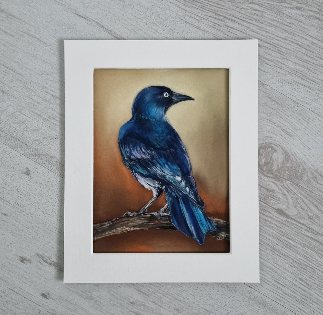 Original Art, Bird Painting, Jackdaw Portrait, Pastel on Pastelmat ...