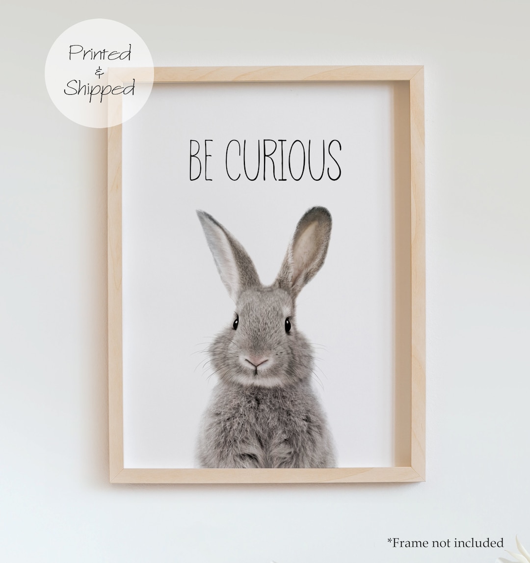 Bunny Print, Baby Animal Print, Rabbit Print, Woodland Nursery Decor ...