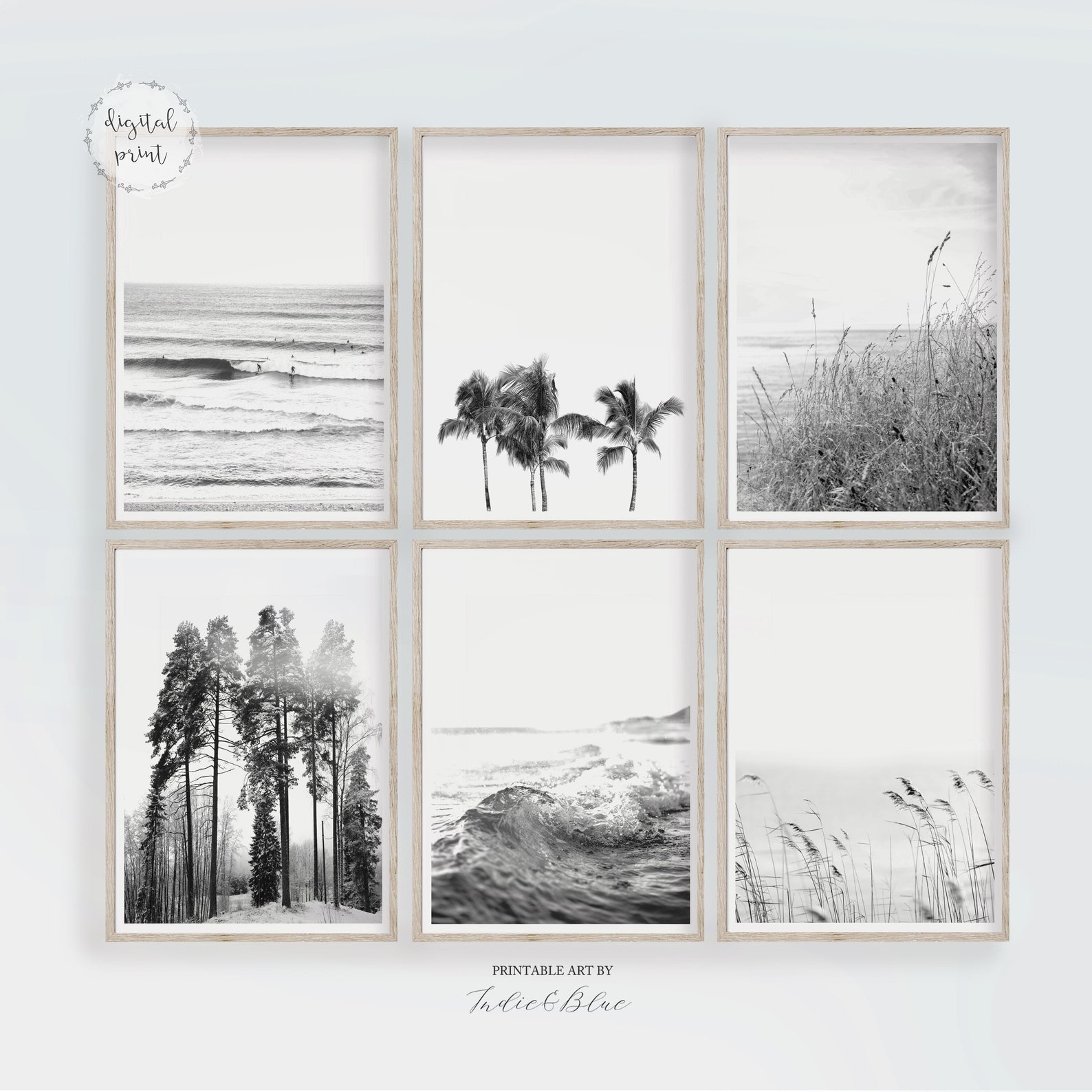 Set of 6 Black and White Nature Prints Printable Art Coastal - Etsy