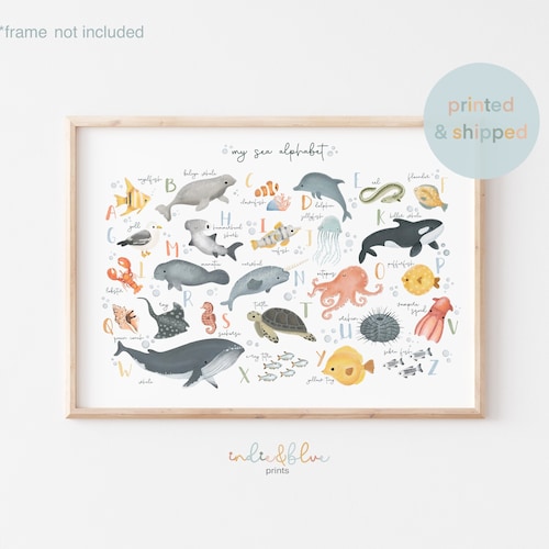 Under the Sea Alphabet Print Beach Nursery Decor Sea - Etsy
