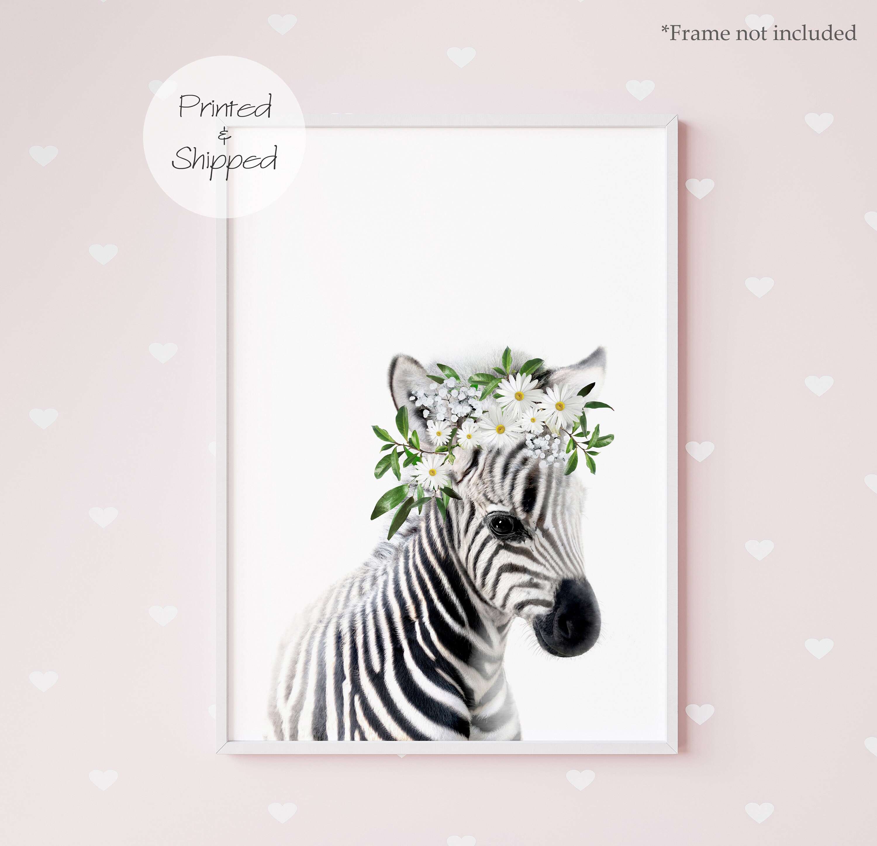 Girls Bedroom Zebra