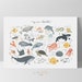 Sea Animals Alphabet Print, Under the Ocean Print, Sea Nursery, Ocean ...