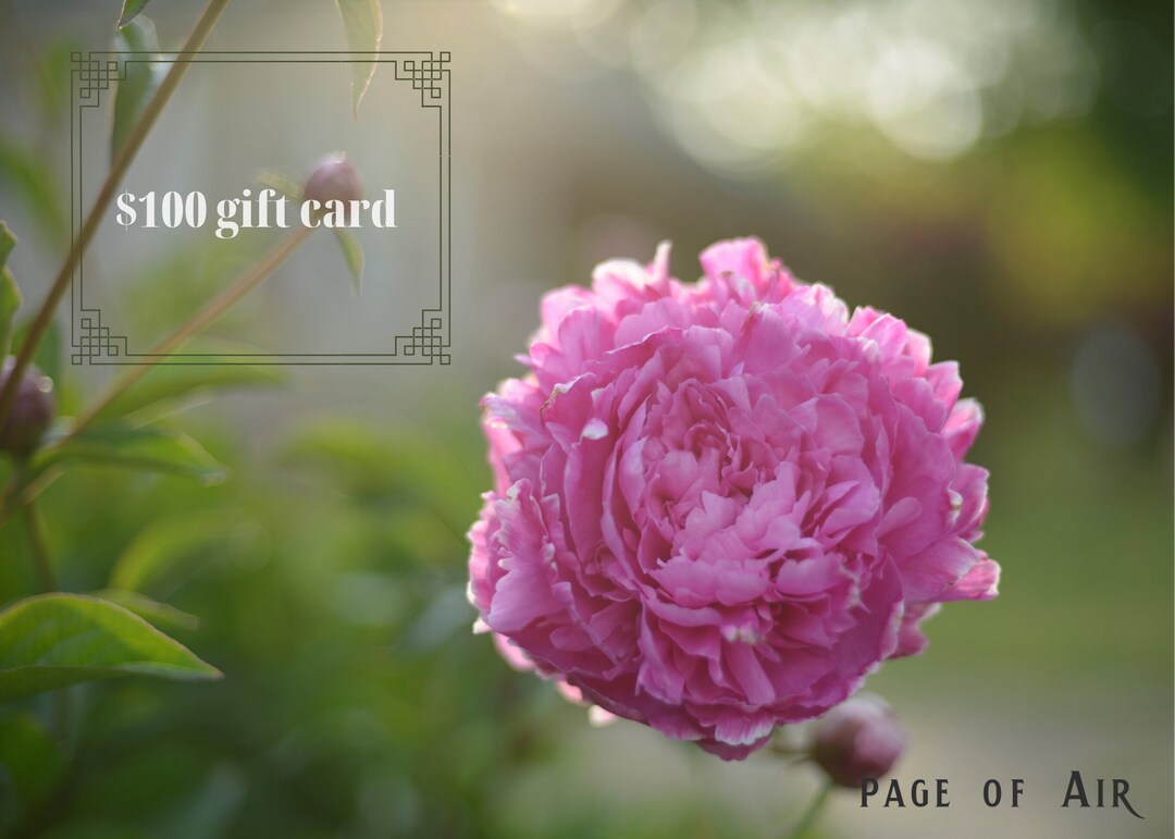 Moving Sale Page of Air Gift Certificate // 100USD - Etsy